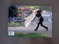 Stay Gold : Ed Templeton